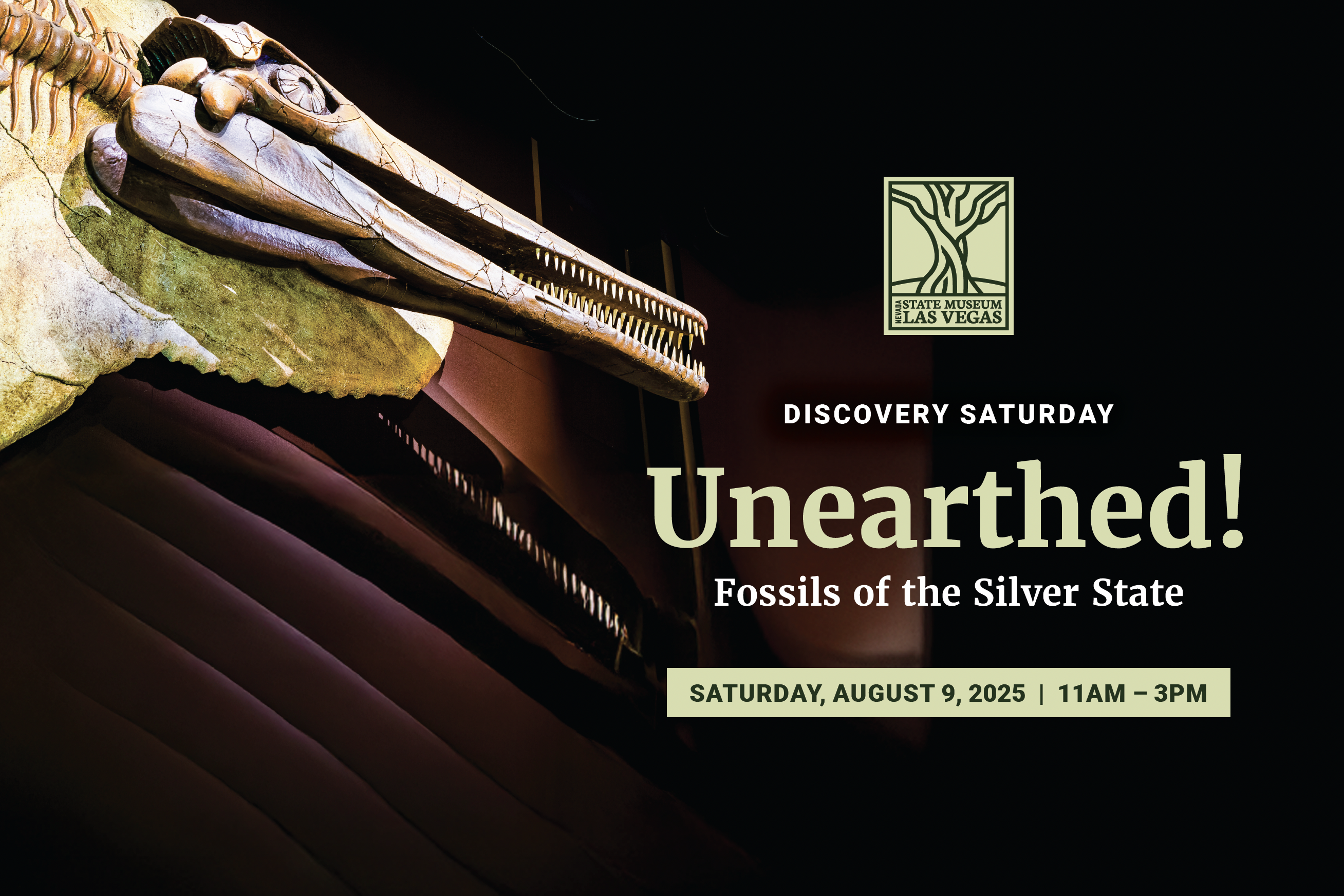 Discovery Saturday: Unearthed! Fossils of the Silver State | Nevada ...